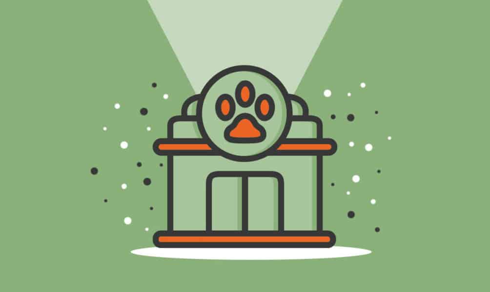 How To Start A Profitable Pet Store In 2023