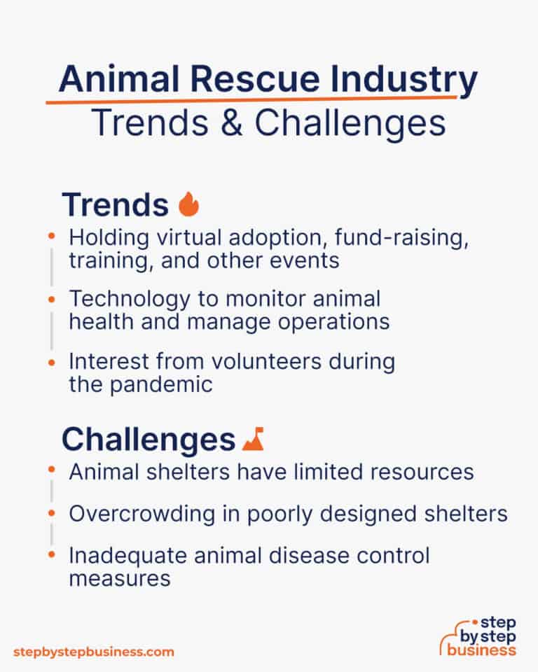 How to Start an Animal Rescue Business in 13 Easy Steps