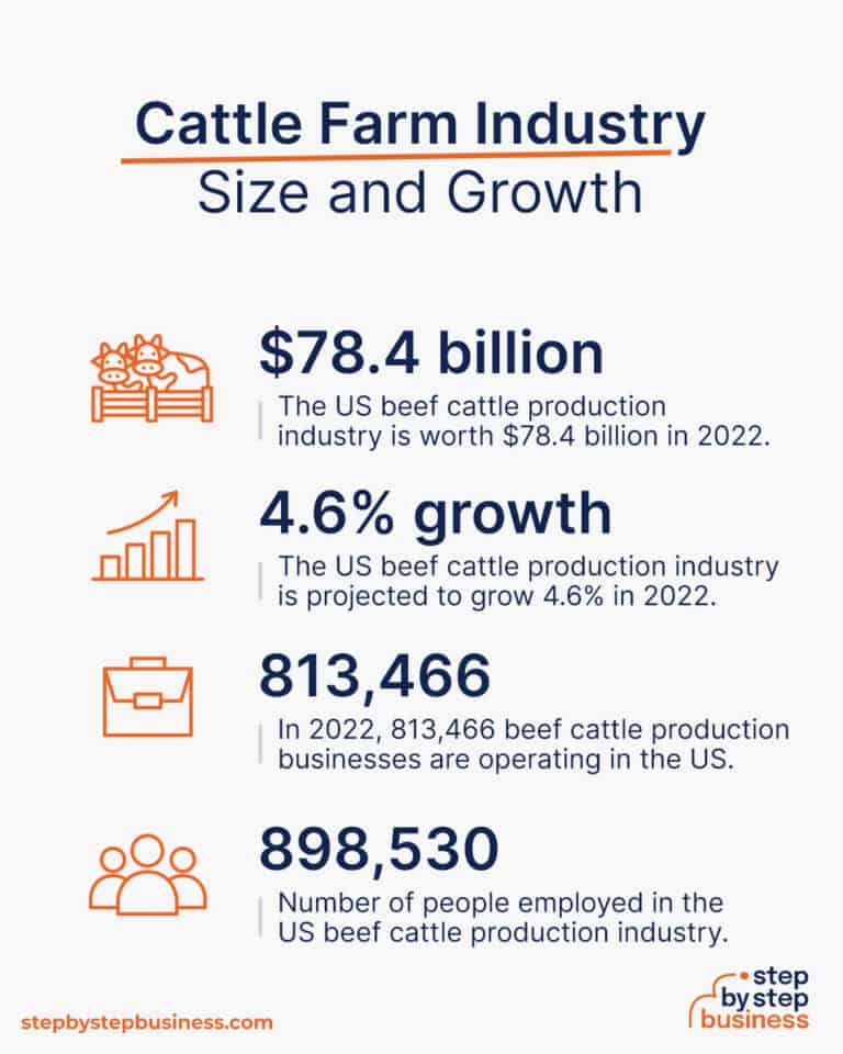 Livestock Ventures: Starting a Cattle Farm in 13 Steps