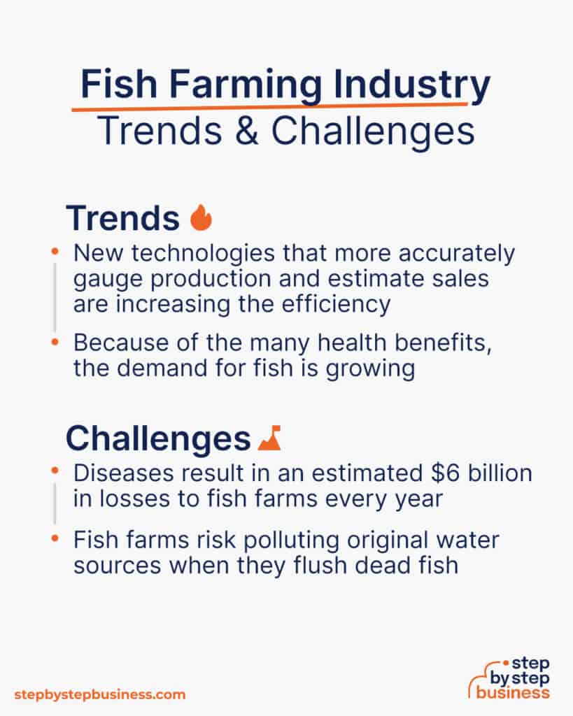 How to Start a Profitable Fish Farming Business in 13 Steps