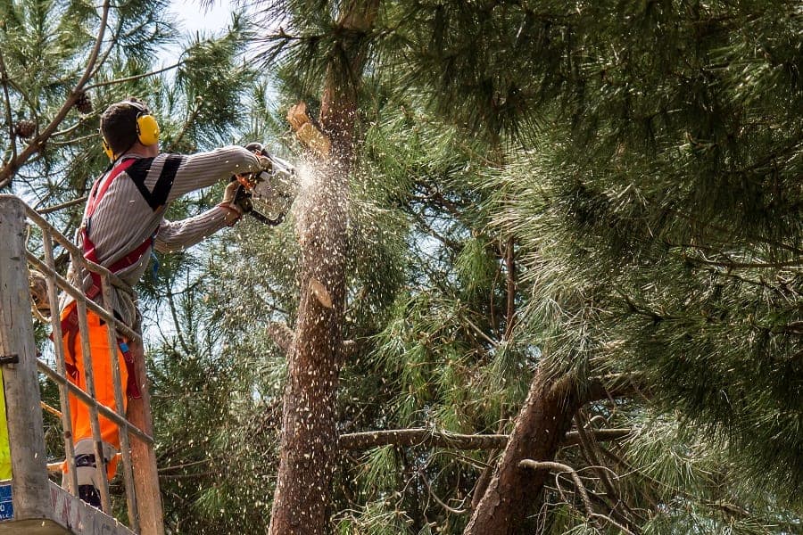 57 Best Service Business Ideas (2022 Guide) - Step By Step Business