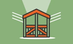 15 Horse Business Ideas for Equine Enthusiasts