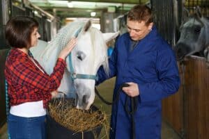 15 Horse Business Ideas - Step By Step Business