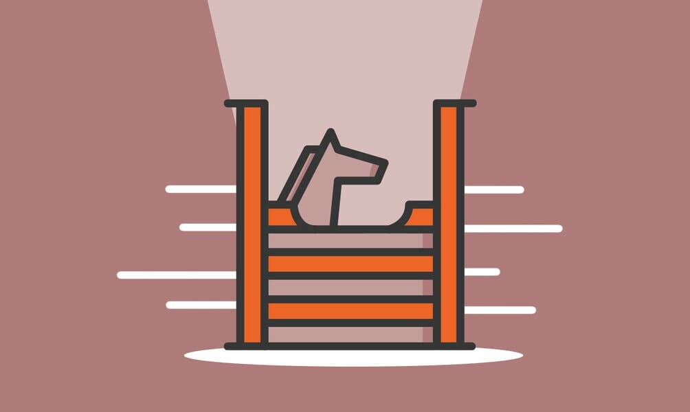 15 Horse Business Ideas for Equine Enthusiasts