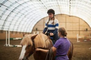 15 Horse Business Ideas - Step By Step Business