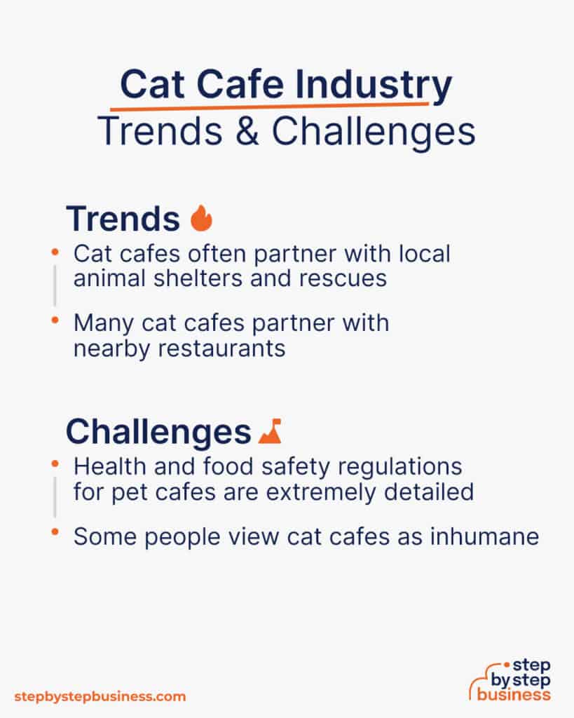 How to Create a Purr-fect Cat Cafe Business