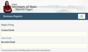 How to File an Annual Report for Your LLC - Step By Step Business