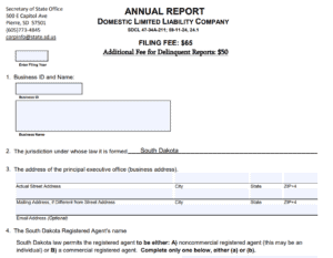 How to File an Annual Report for Your LLC - Step By Step Business