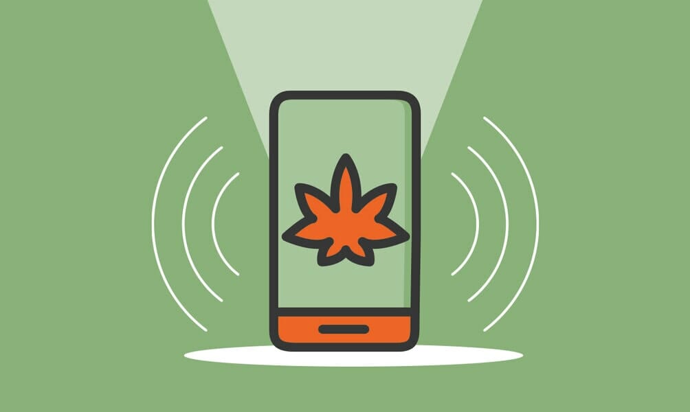 14 Business Opportunities in the Cannabis Industry