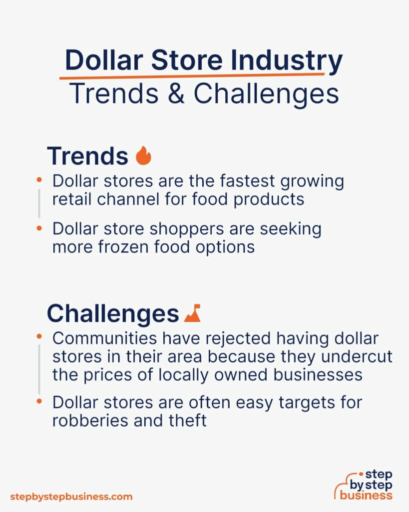 How to Start a Dollar Store in 13 Steps: Cost and Profit Potential