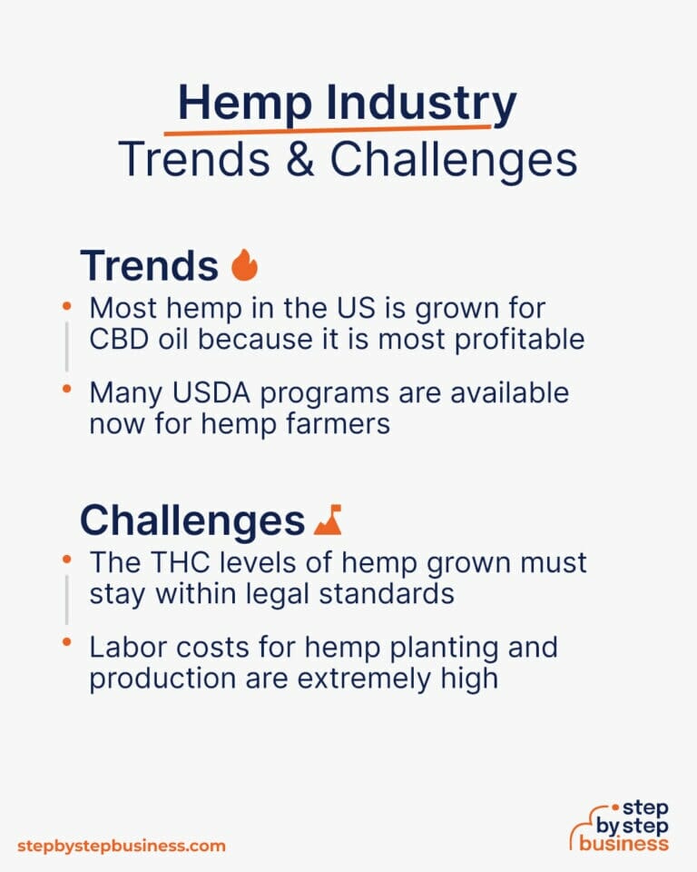 How To Start a Hemp Farm in 13 Steps: Hemp Farming 101