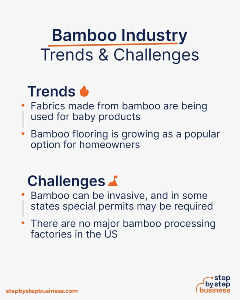 How to Start a Bamboo Farm and Make Money from It