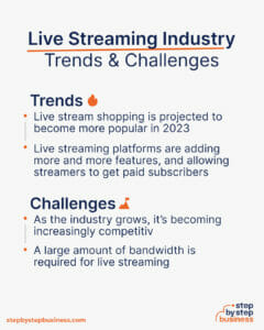 How to Start a Successful Live Streaming Business in 13 Steps