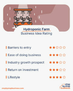 How to Start a Hydroponic Farm Business in 13 Steps