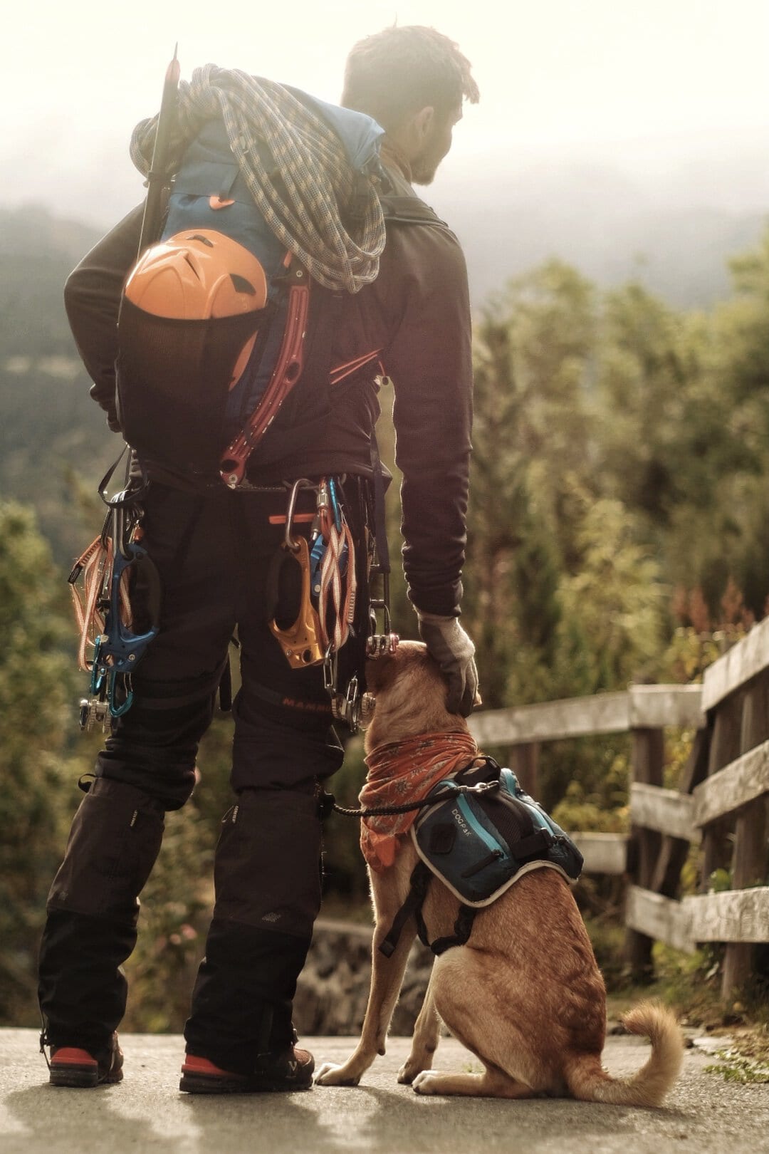 How DOGPAK Transformed Dog Adventure Gear