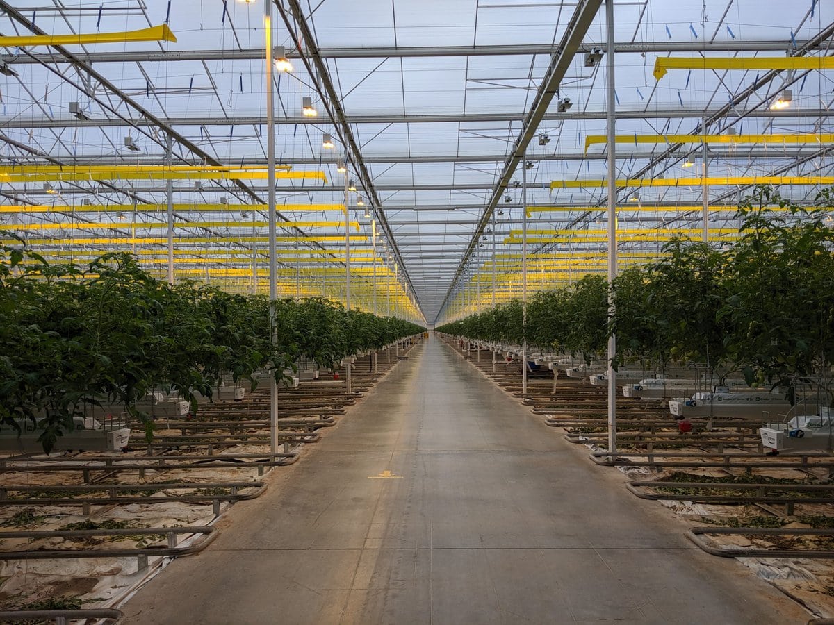 Jacob Tannenbaum on Sustainable Farming and Cannabis Innovation