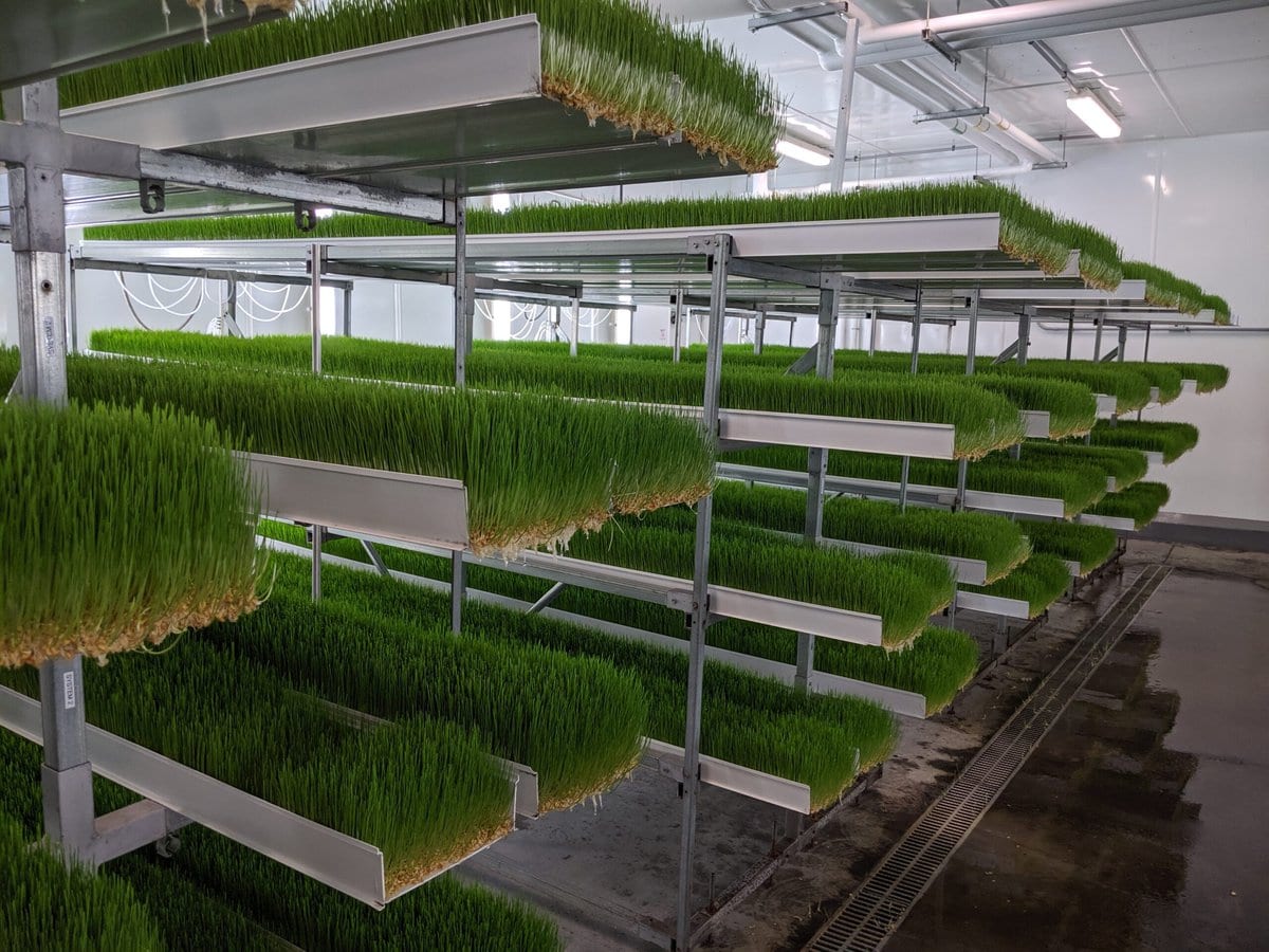 Jacob Tannenbaum on Sustainable Farming and Cannabis Innovation