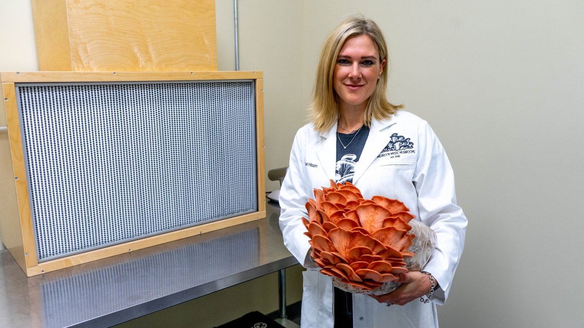 How Keri Hissim Turned Mushrooms into Culinary Gold